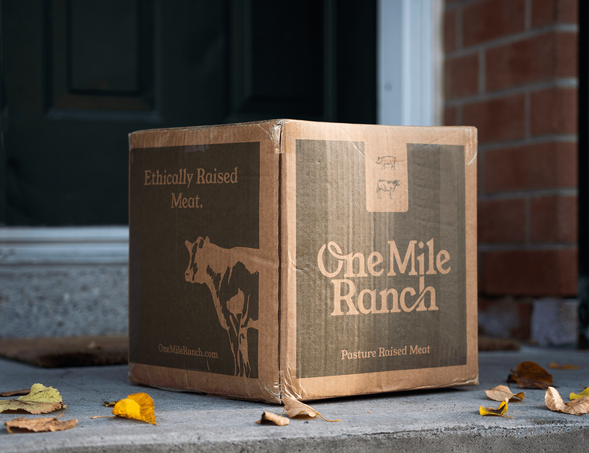 Pasture Raised Ground Beef Box – One Mile Ranch